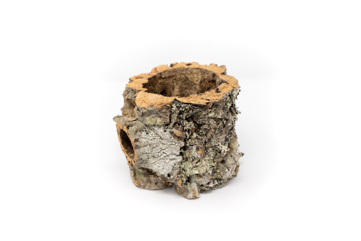 Natural Cork Bark Planters — Ecuagenera USA Corp