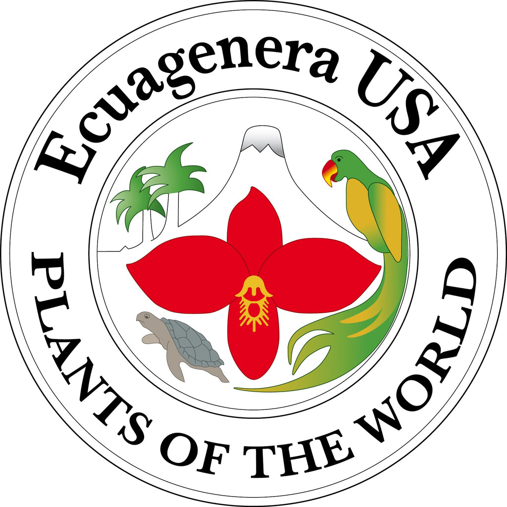 Catalog — Ecuagenera USA Corp